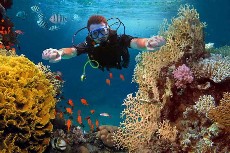 Top 7 Recreational Activities in America